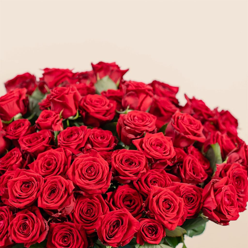 Tutto sul garofano (Dianthus): caratteristiche, cura e significato ...