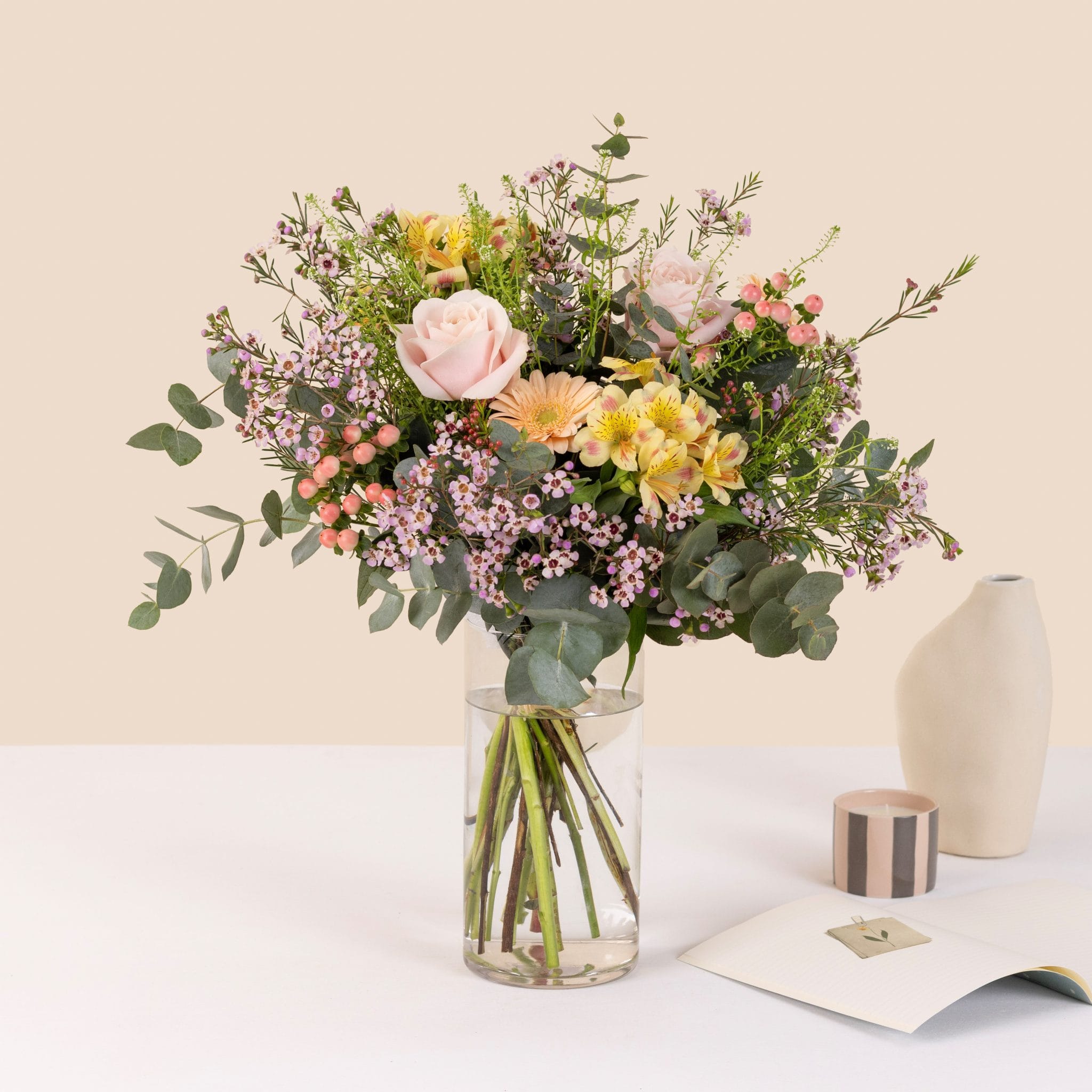 Il garofano comune (Dianthus Caryophyllus): coltivazione e cura ...