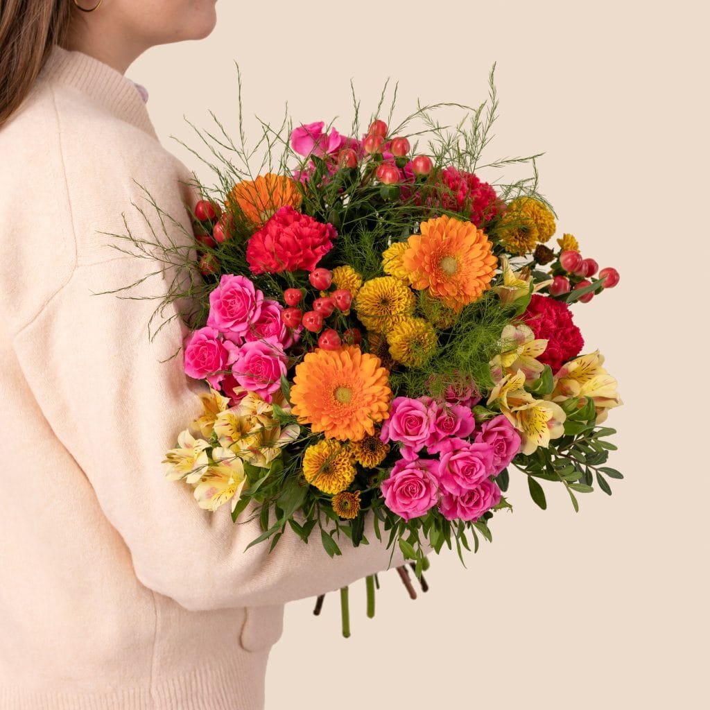 Il garofano comune (Dianthus Caryophyllus): coltivazione e cura ...