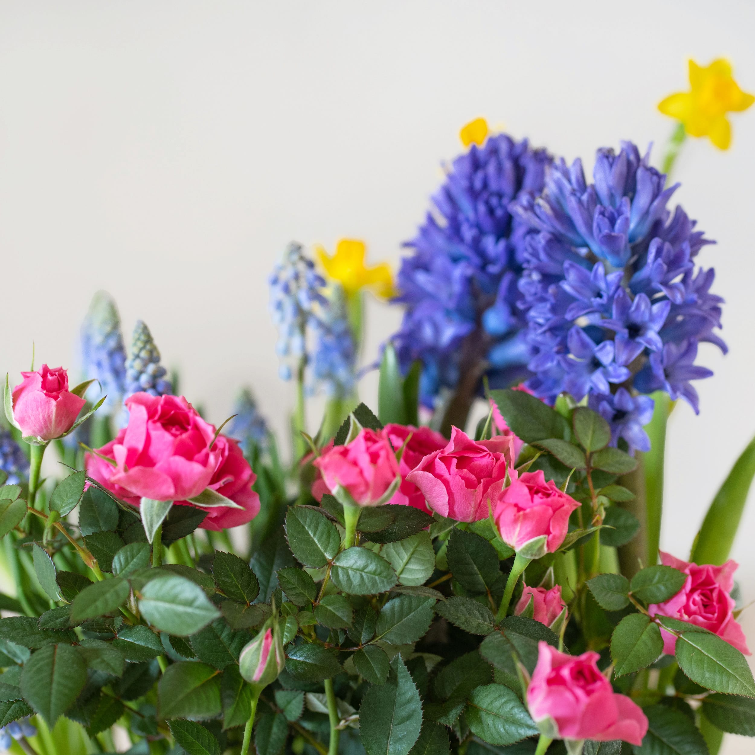 Quali sono i fiori più duraturi per una composizione? | Interflora