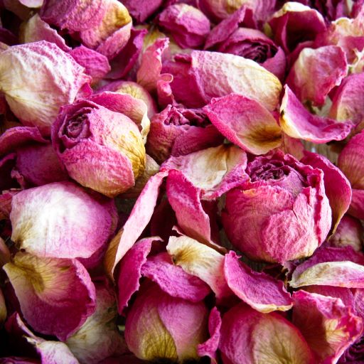 Come essiccare le rose: metodi e soluzioni | Interflora