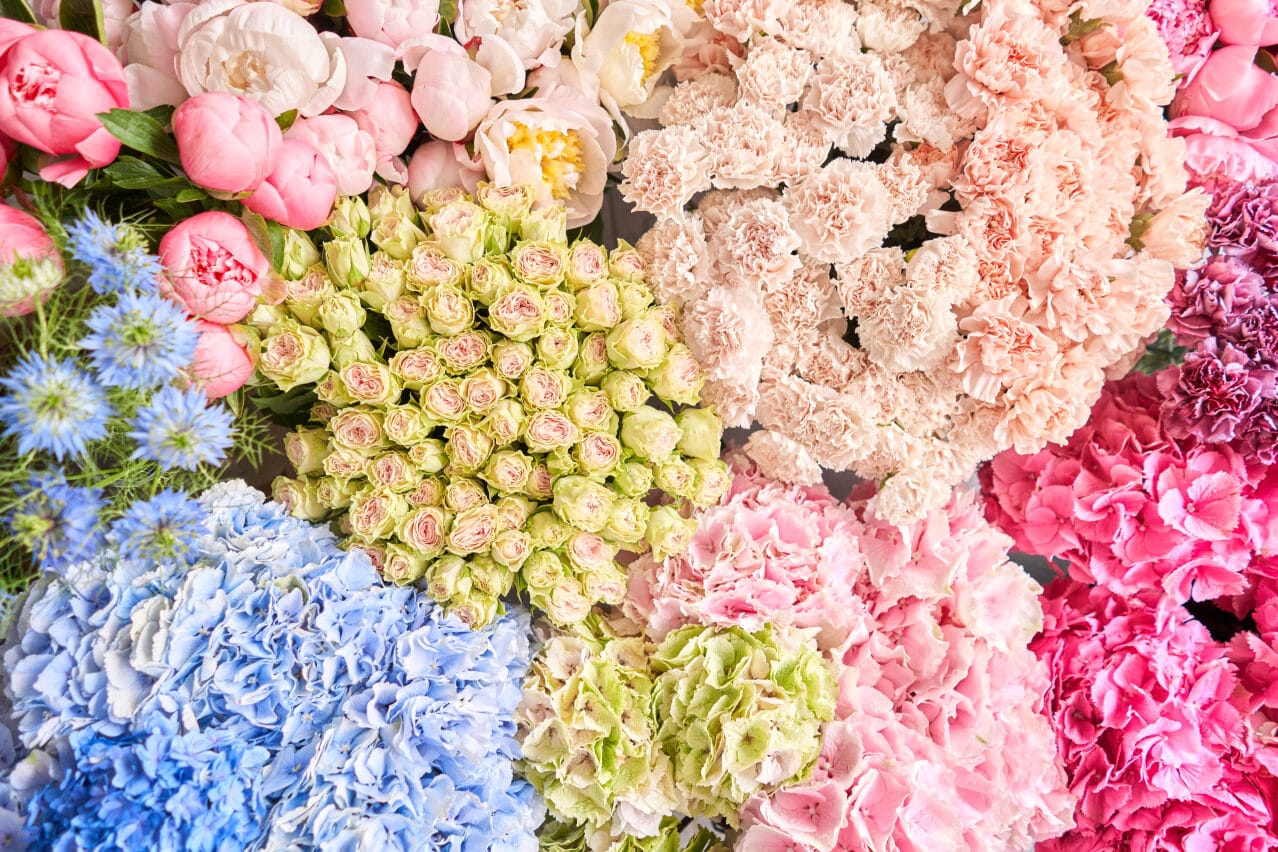 Qual è il significato dei fiori in base al colore | Interflora