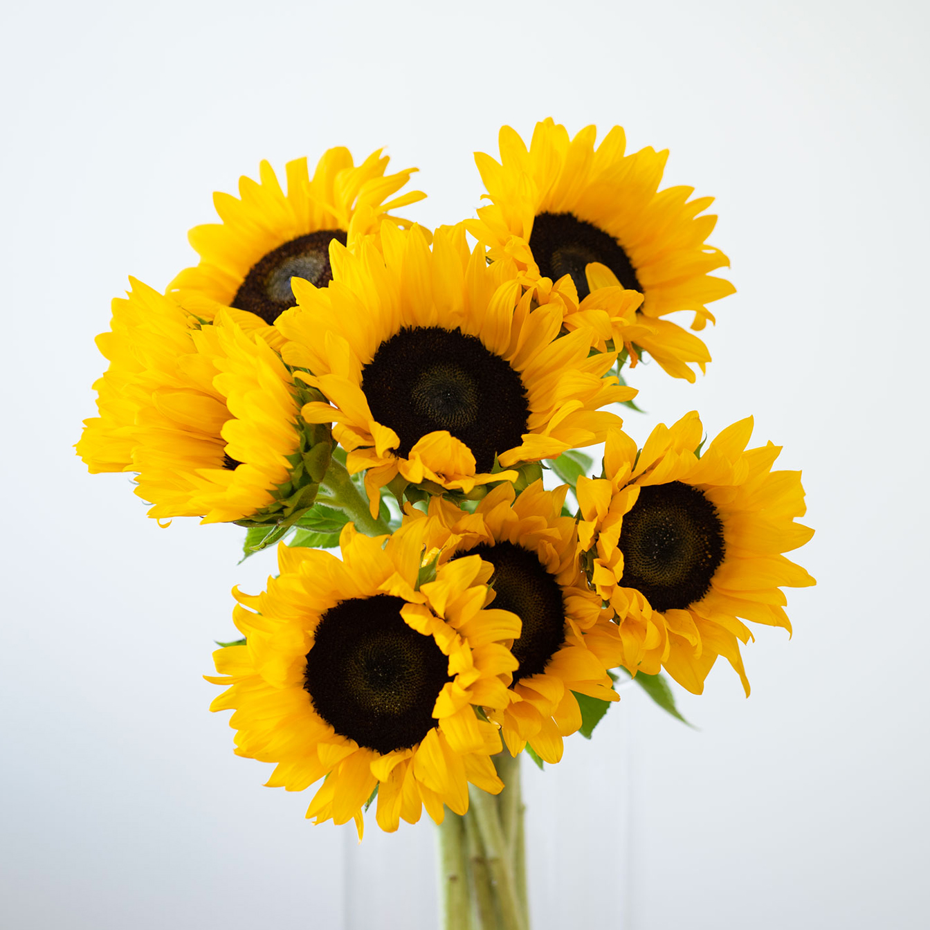 Mazzo e composizioni di fiori personalizzate - Interflora