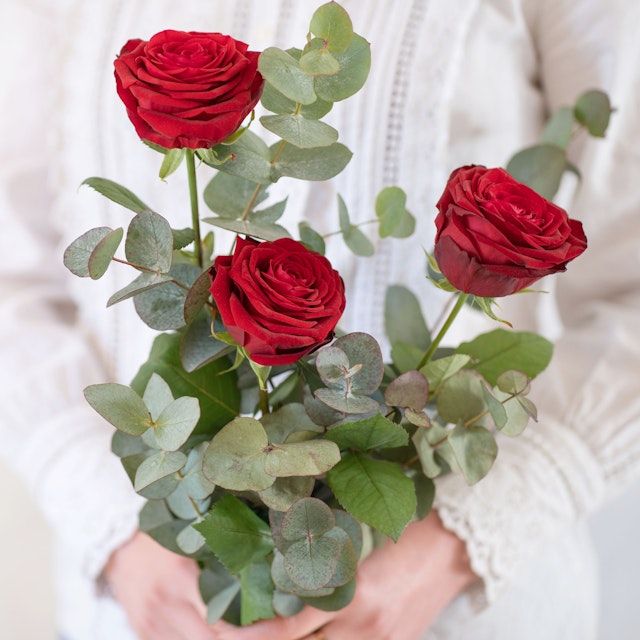 3 rose rosse : Mazzo di tre rose rosse | Interflora