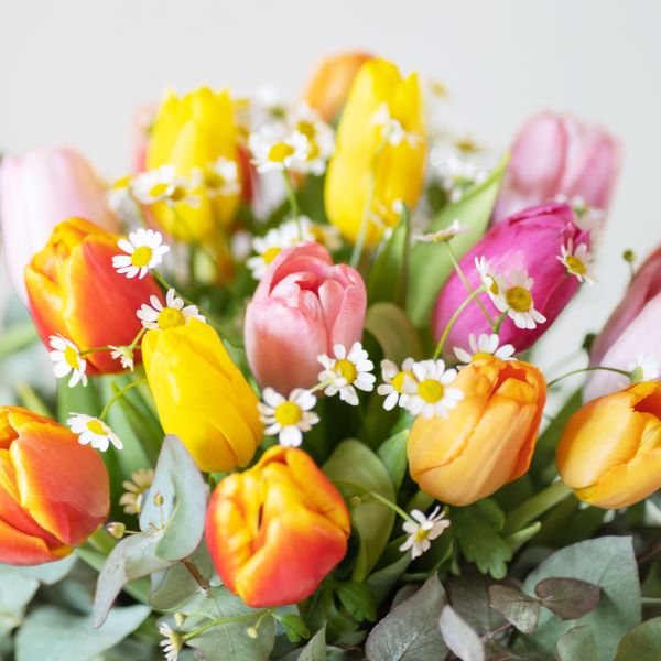 Significato dei tulipani - Interflora